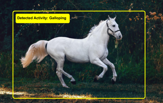 Computer Vision in Animal Behaviour – Curvelogics